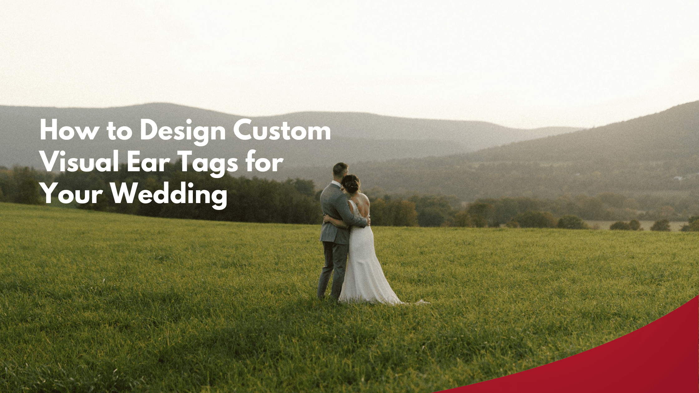 How to Design Custom Tags for Your Wedding – Yolla Ear Tags