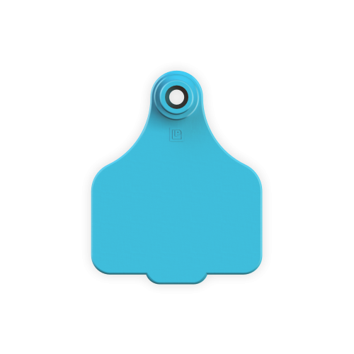 Leader - Large Female Ear Tag – Yolla Ear Tags