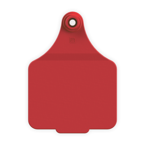 Maxi Female - Custom Designed Ear Tag – Yolla Ear Tags