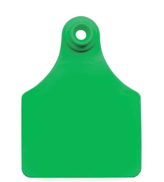 Allflex - Maxi Female Ear Tag – Yolla Ear Tags