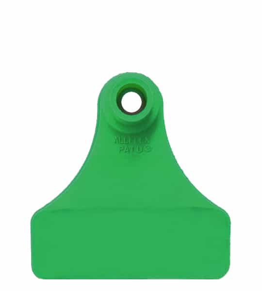 Allflex - Medium Female Ear Tag – Yolla Ear Tags