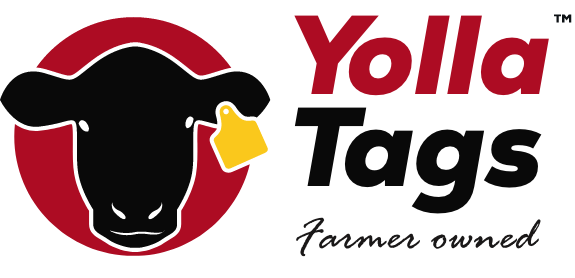 Yolla Ear Tags | Made by Farmers, for Farmers