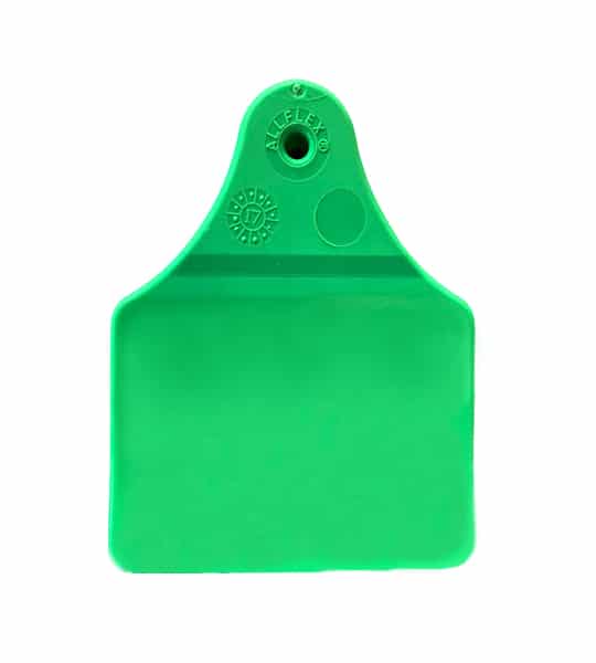 Allflex - Large Male Ear Tag – Yolla Ear Tags