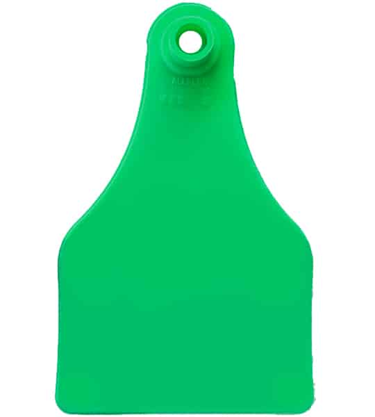 Allflex - Super Maxi Female Ear Tag – Yolla Ear Tags
